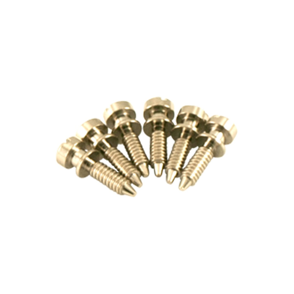 Bridge Screws – Intonation, Saddle Height, and Bridge Mounting Screws ...
